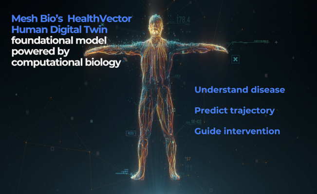 Mesh Bio Raises US$3.5 Million to Make Digital Twin Tech Available at ...