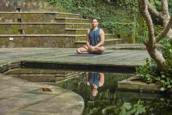 Tulsi and The Farm at San Benito Introduce a Groundbreaking Wellness ...